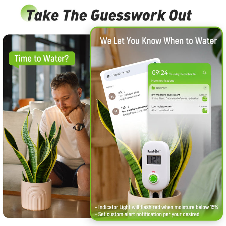 Smart Digital Wireless Plant Moisture Meter | Brookstone