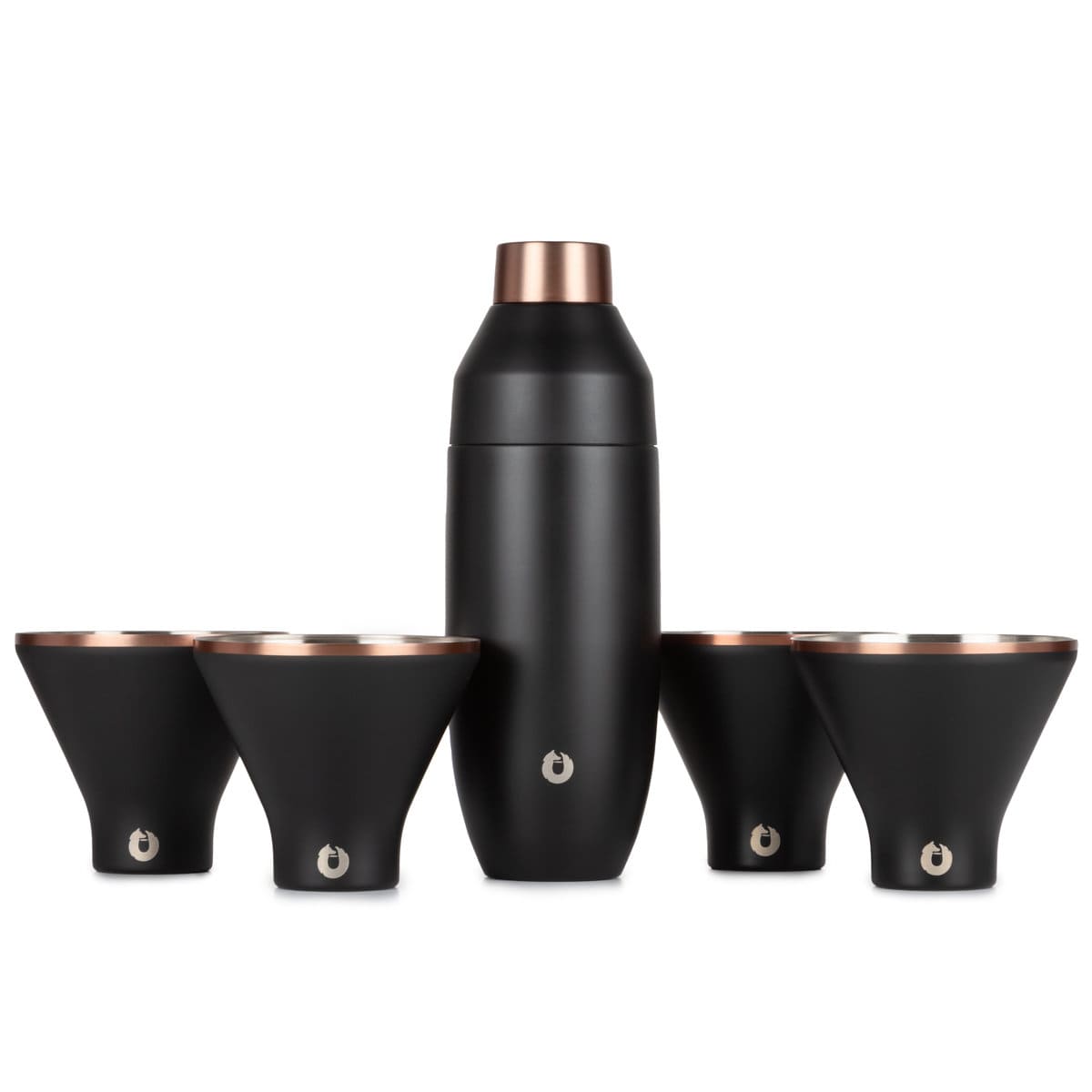 Stainless Steel Cocktail Shaker and Martini Glass Set – Brookstone